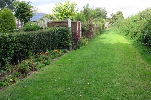 The Importance of Keeping a Clean Garden - Charleston Tea Party